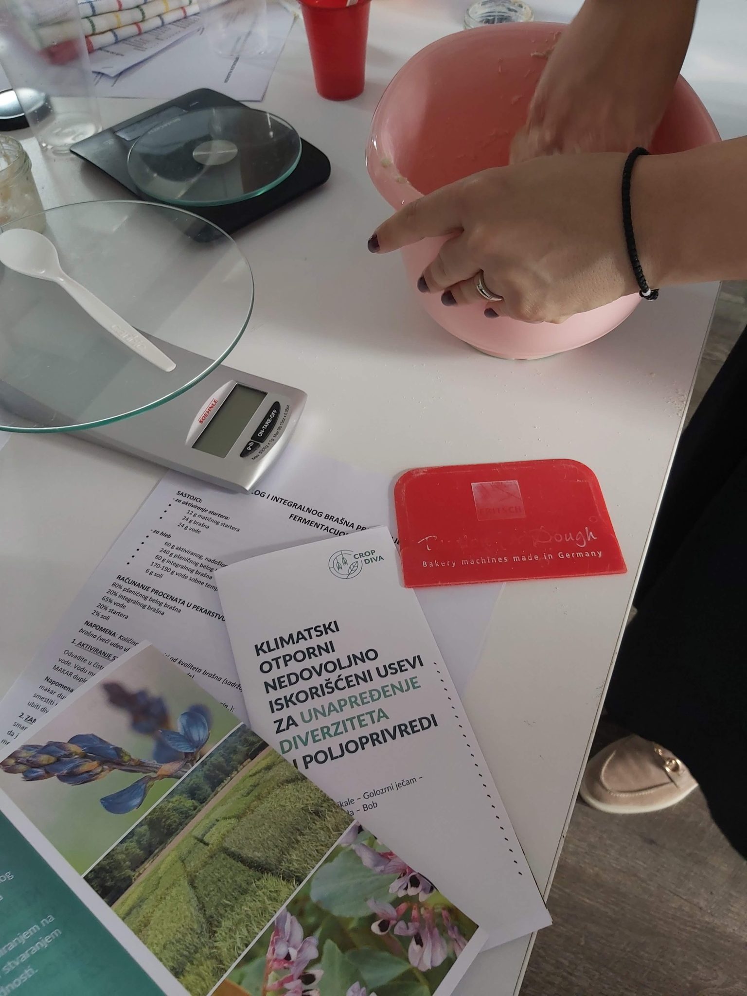 CROPDIVA project- Workshop „Prepare Your Own Bread“ | FINS